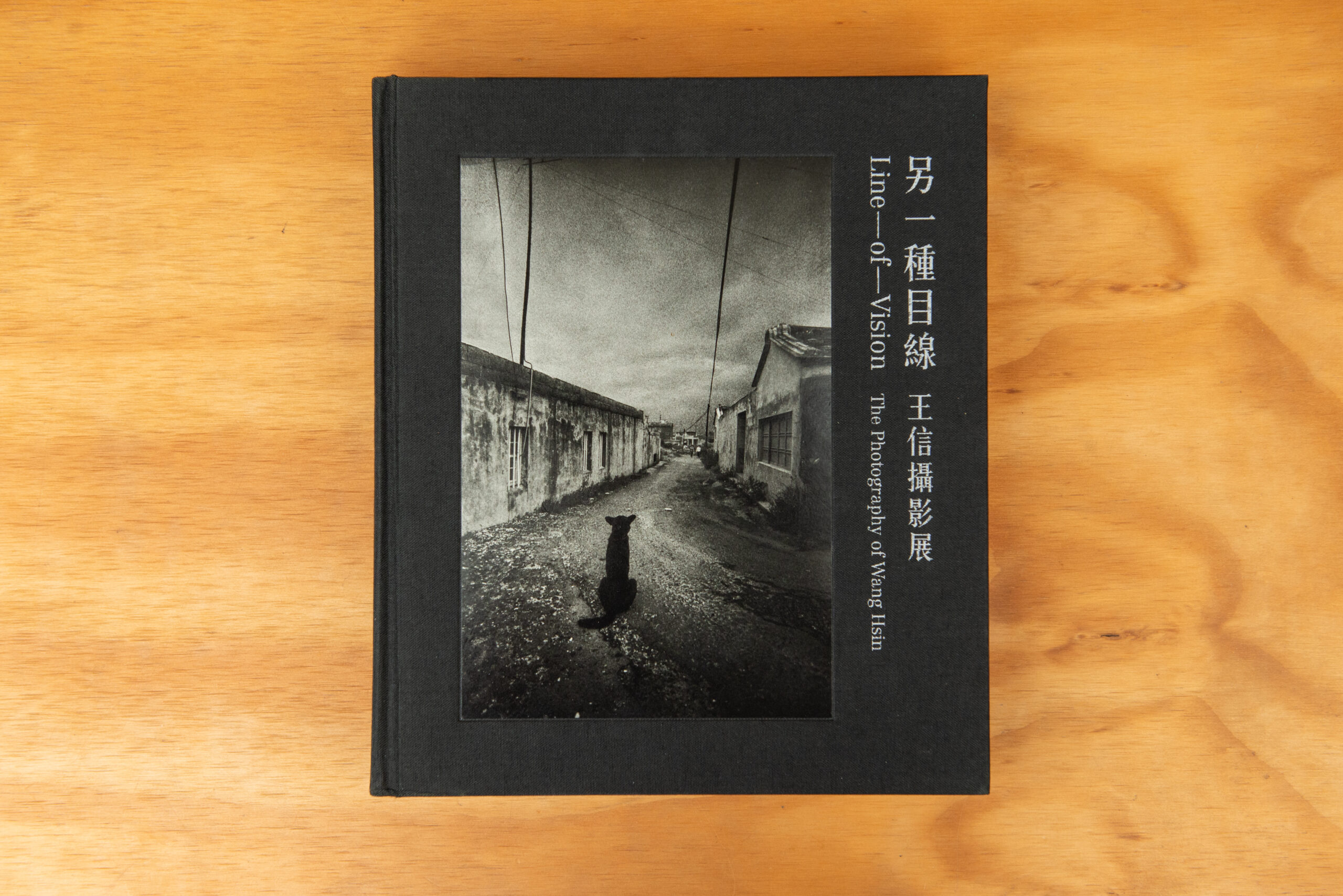 Line of Vision－The Photography of Wang Hsin - Singapore International ...
